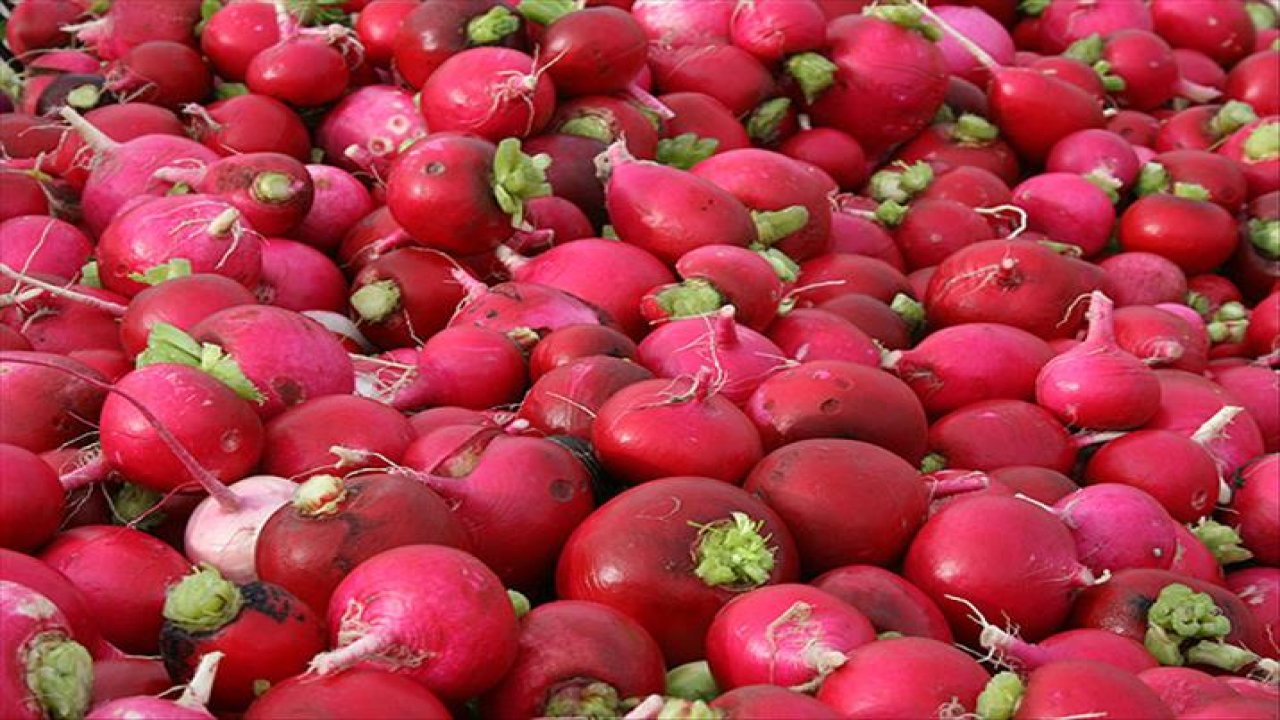 Vitamin deposu, turp. Turp nasıl tüketilmeli?